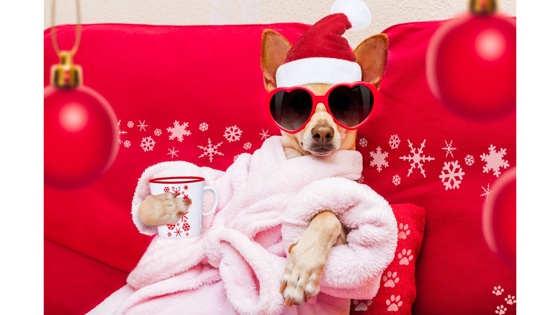 How to Prepare Your Dog for the Holiday Season: A Complete Guide - The ...